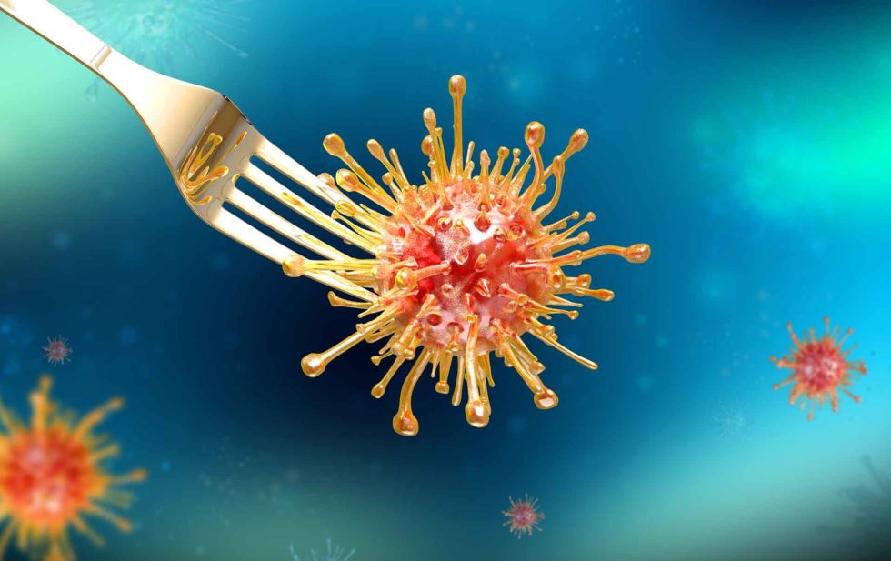 Bacterias patógenas en la industria alimentaria | Papelmatic