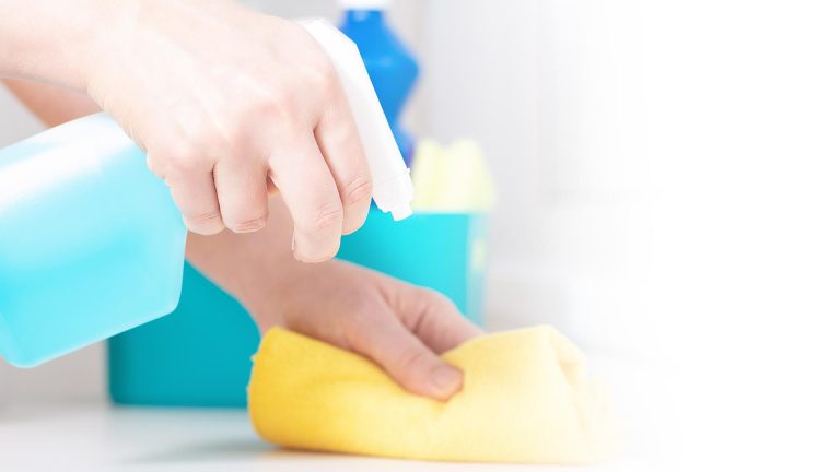 Círculo de Sinner: ¿Cómo alcanzar la excelencia en la limpieza ...